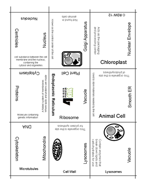 Bio Endocrine System - biology notes - The Endocrine System An Overview ...