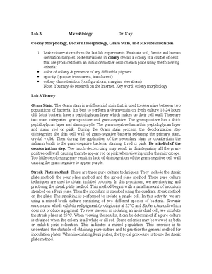 Lab 2 Microbiology 1 - lab - Lab 2 Microbiology Dr. Kay Lab Practicum 2 ...