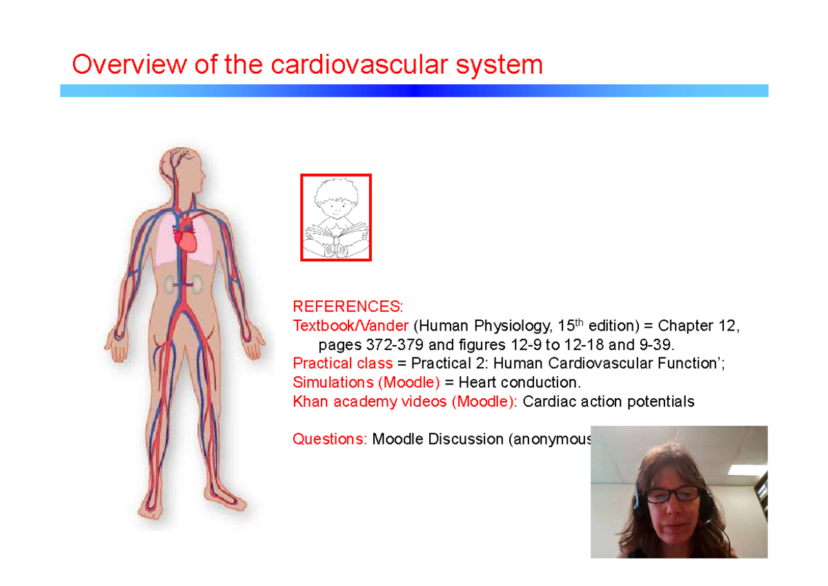 CVSlecture 1, the cardiac system. Learn all about the heart ...