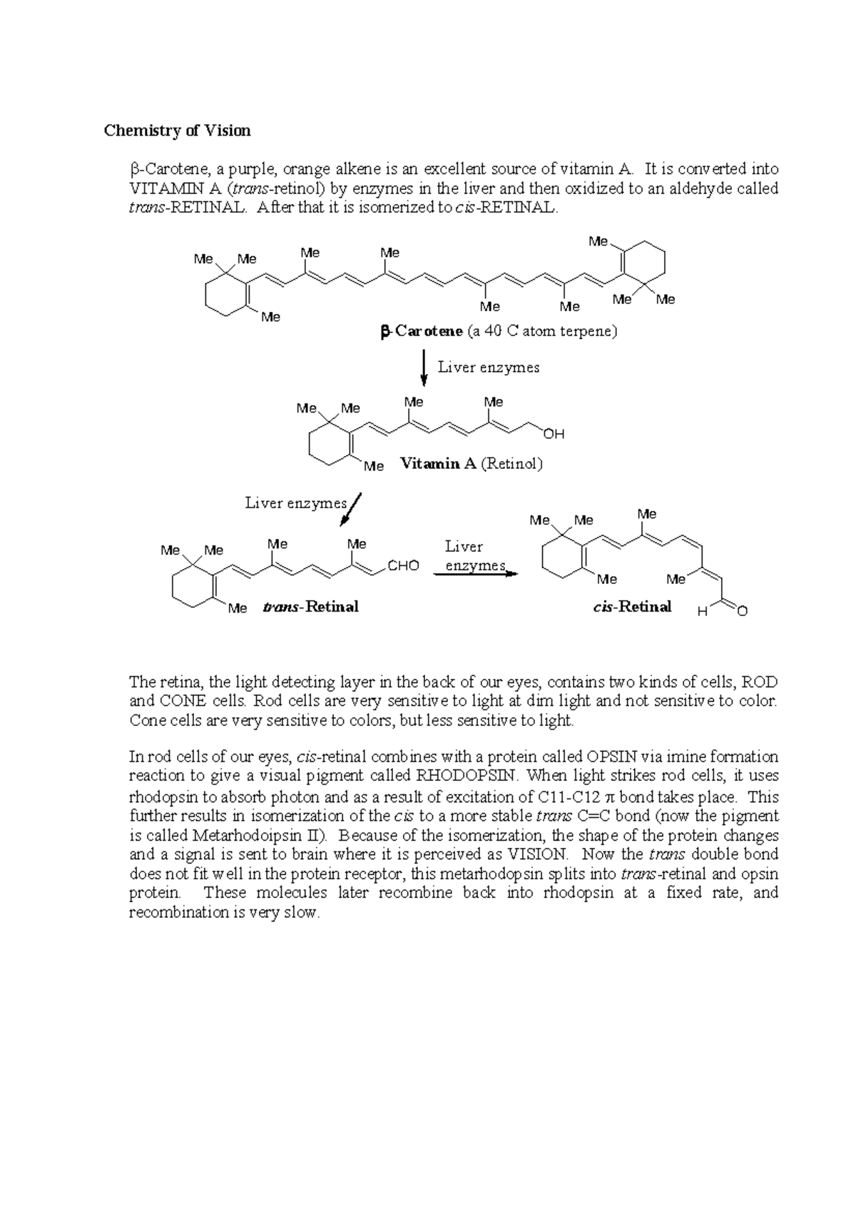 Vision Vitamin D notes - ..... - Chemistry of Vision -Carotene, a ...