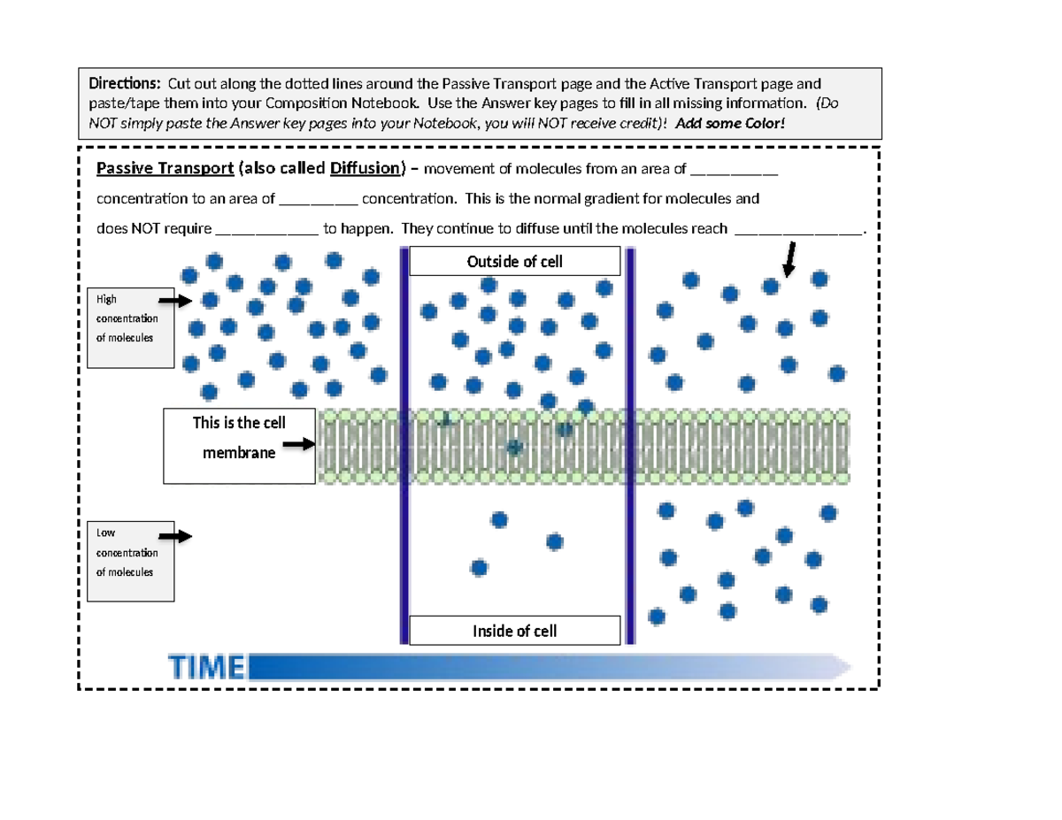 3 Passive and Active Transport Basics - Passive Transport (also called ...