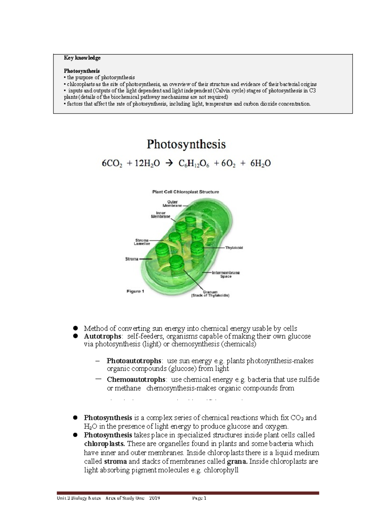 Unit 3 Photosynthesis and Respiration - Key knowledge Photosynthesis ...