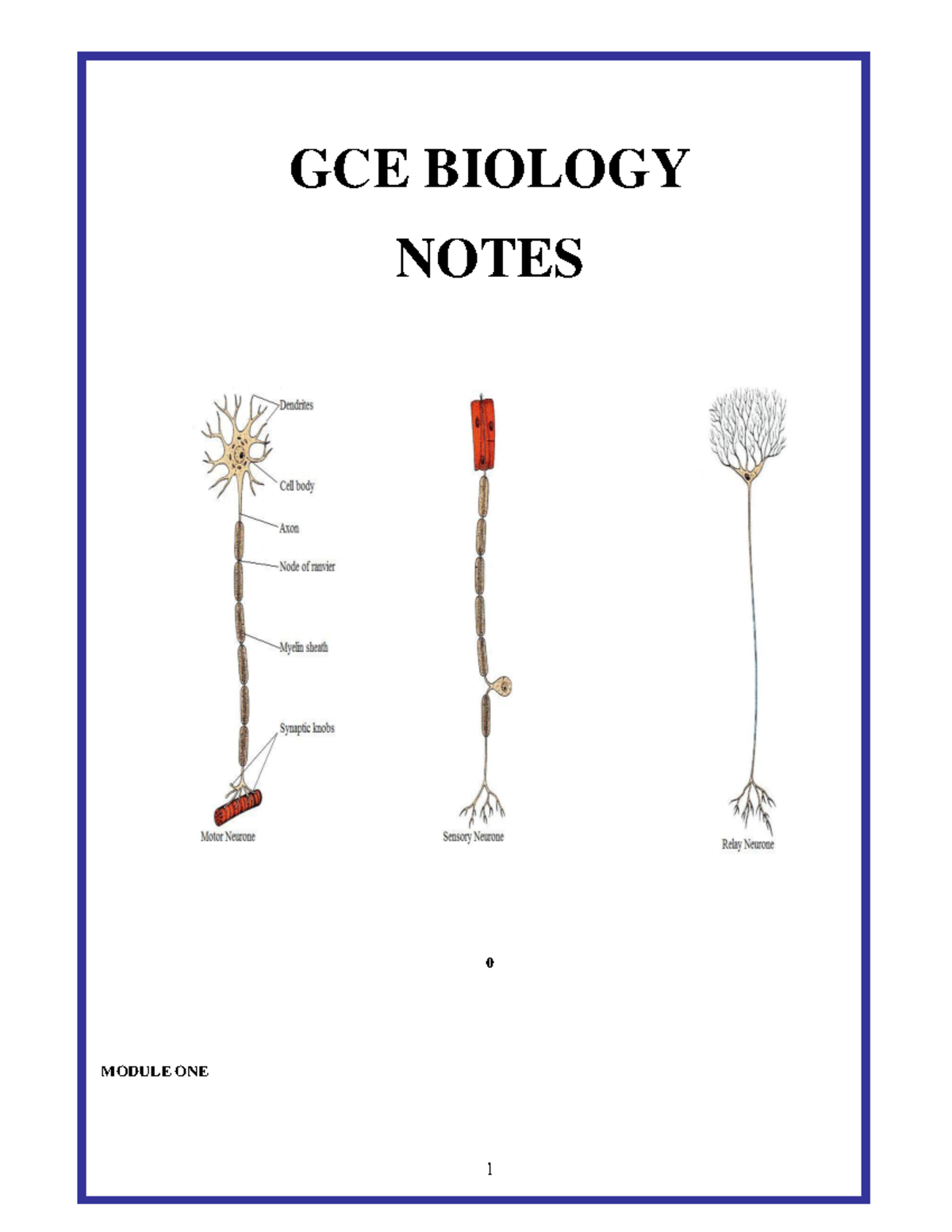 Basics of biology ronald - GCE BIOLOGY NOTES 0 MODULE ONE CONTENTS 1 ...