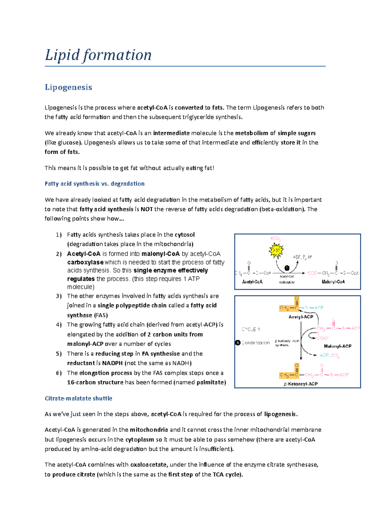 3-Lipid-formation - Lipid formation Lipogenesis Lipogenesis is the ...