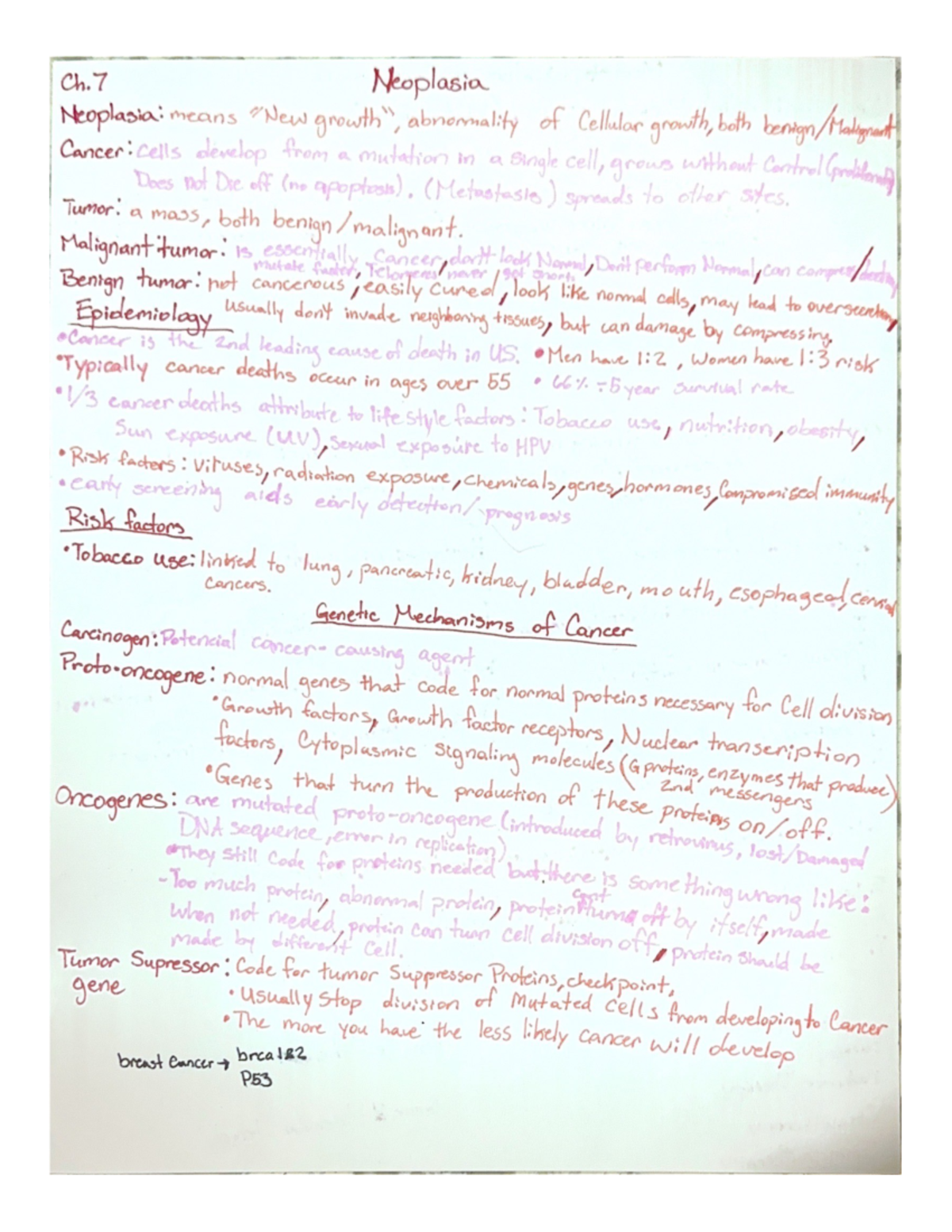 Chapter 7 - assignment - PATH 370 - Studocu