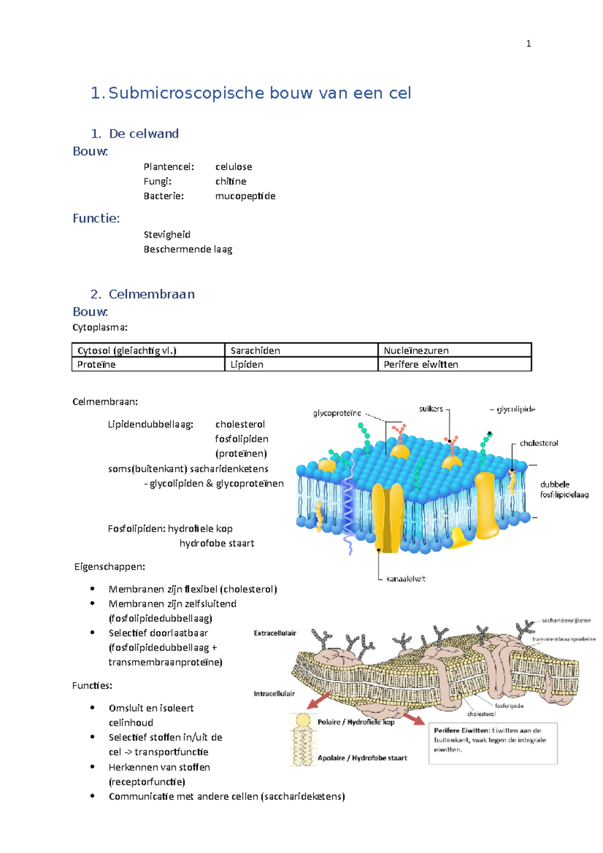 Biloglogie trimester 1 5e jaar - 1. Submicroscopische bouw van een cel ...