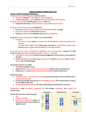 Nervous System - General - 2401 - Anatomy & Physiology I: Nervous ...