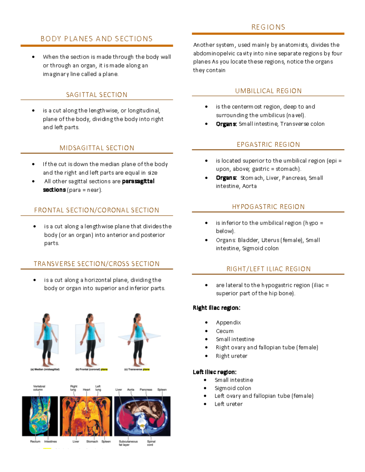 BODY Planes AND Sections - BODY PLANES AND SECTIONS • When the section ...