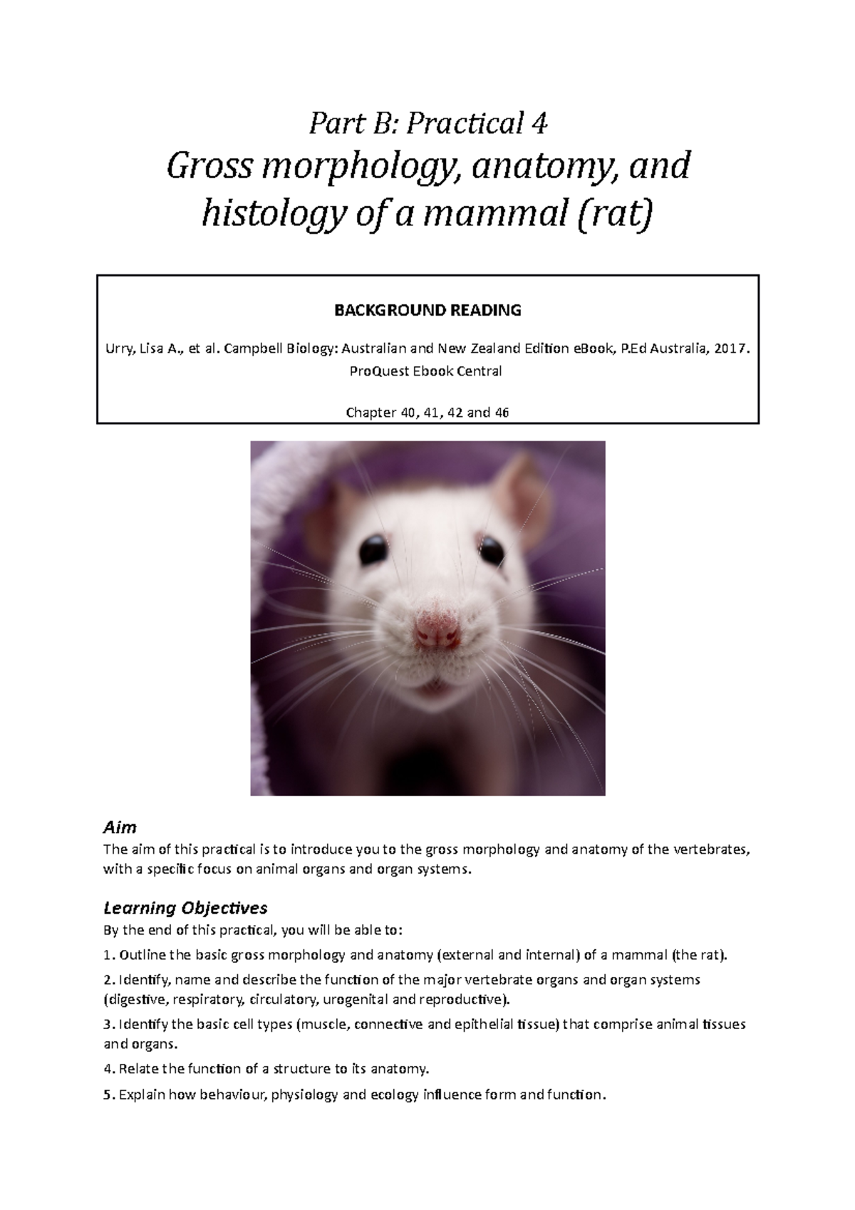Practical 4 - grhjy - Part B: Practical 4 Gross morphology, anatomy ...