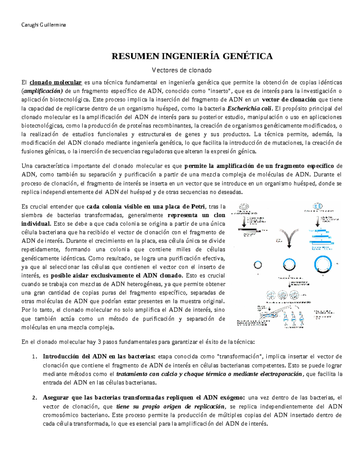 2.Vectrores de clonado - RESUMEN INGENIERÍA GENÉTICA Vectores de ...