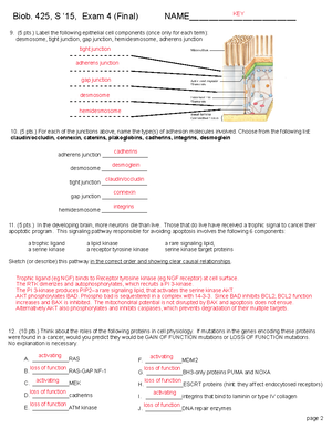 Pdf-19 - Answer Key - Biob. 425, S ‘15, Exam 4 (Final) NAME ...