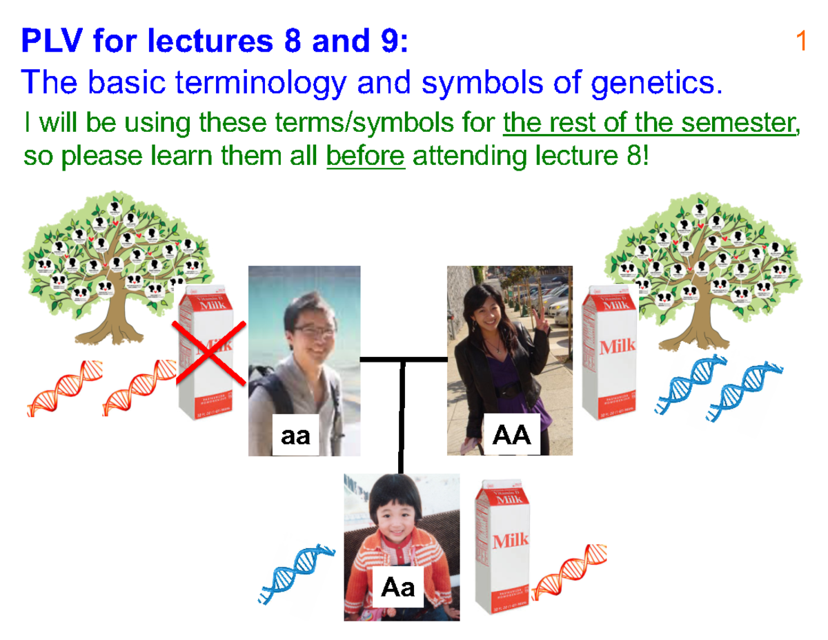 Lecture 2 PLV - full-1 - I will be using these terms/symbols for the ...