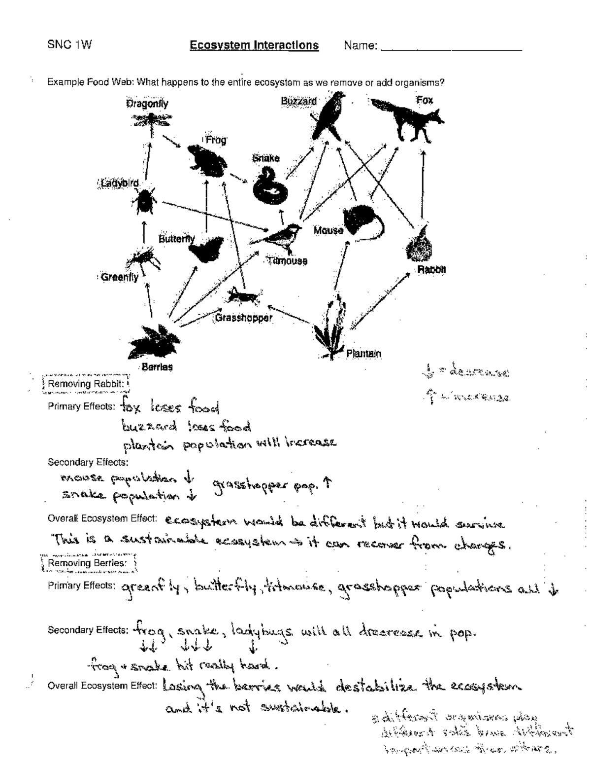 Ecosystems Interactions Year 9 Level - SNC 1W Ecosystem Interactions ...