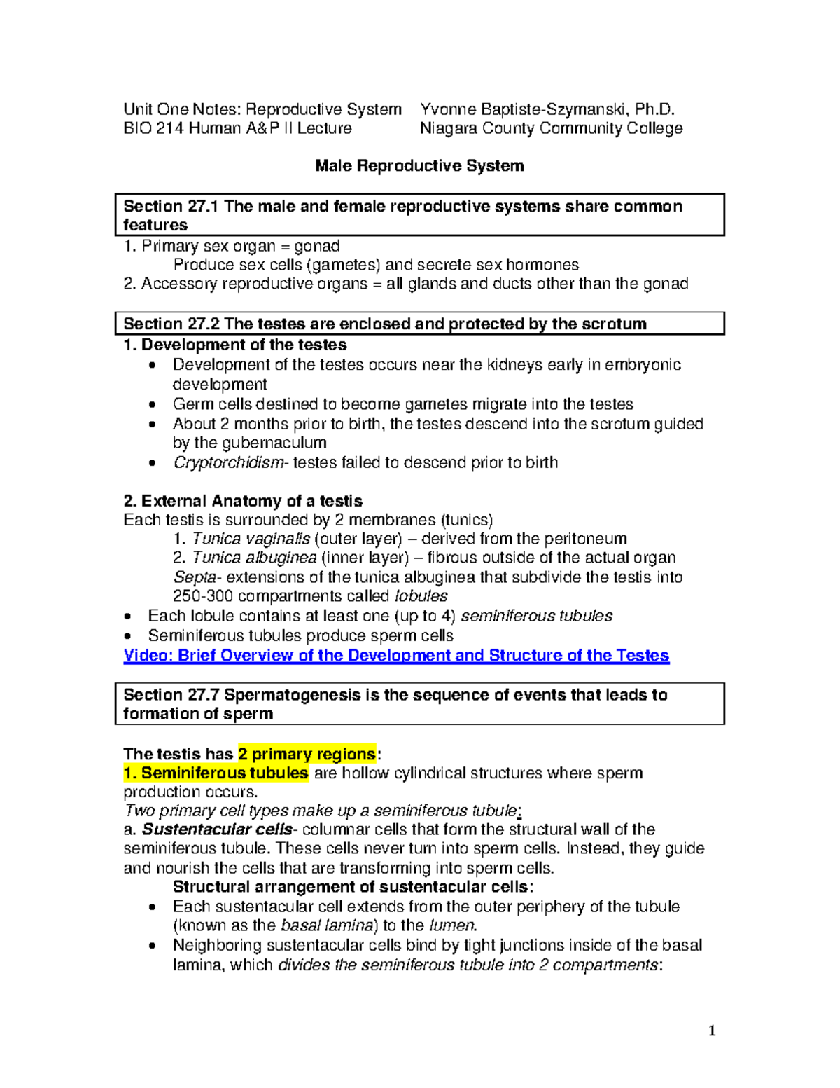 Male reproductive system (bio 214) - Unit One Notes: Reproductive ...