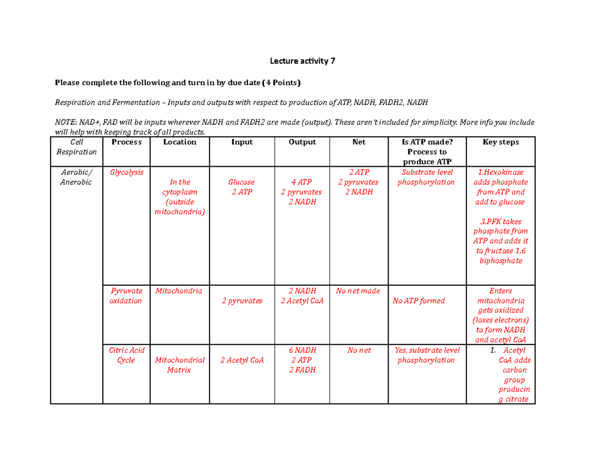 Lecture activity 7 Cell Respiration - Lecture activity 7 Please ...
