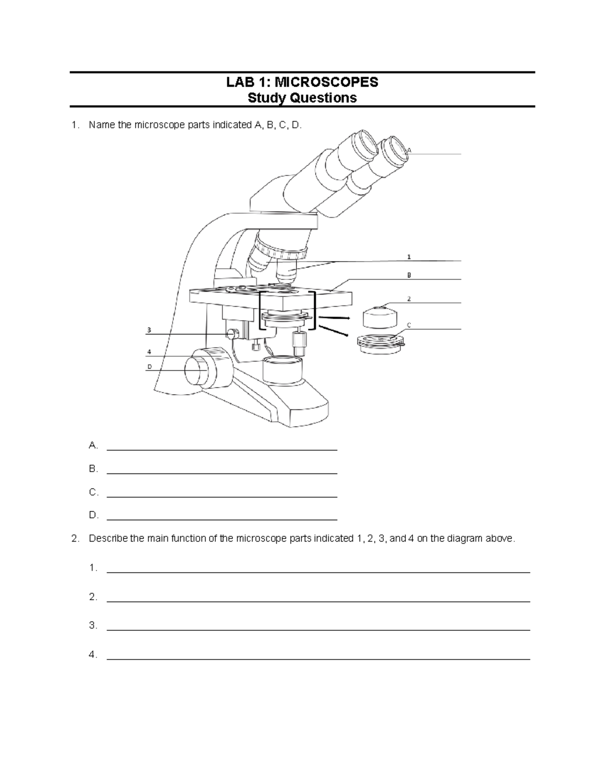 Lab 1 Microscopes (accessible) - BIOL 111 - UBC - Studocu