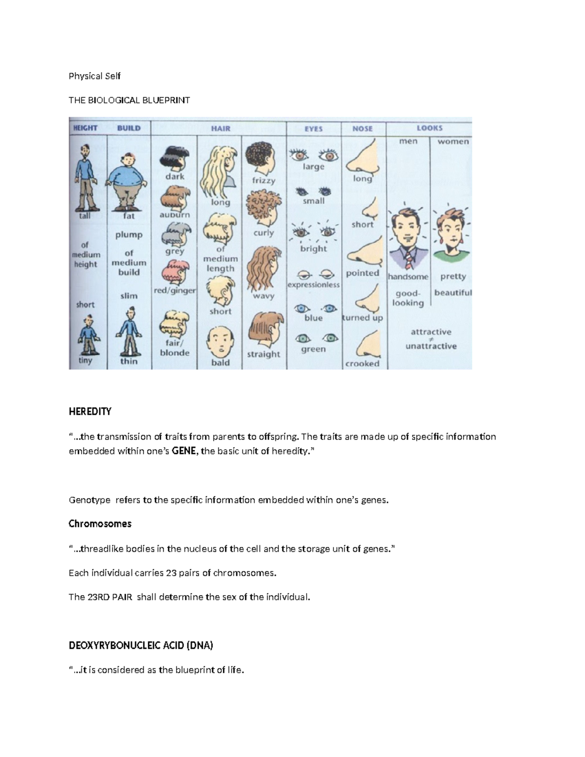 Physical-Self - physical self notes - Physical Self THE BIOLOGICAL ...