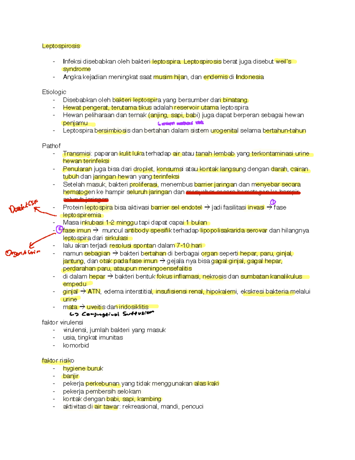 Leptospirosis and typhoid - Leptospirosis Infeksi disebabkan oleh ...