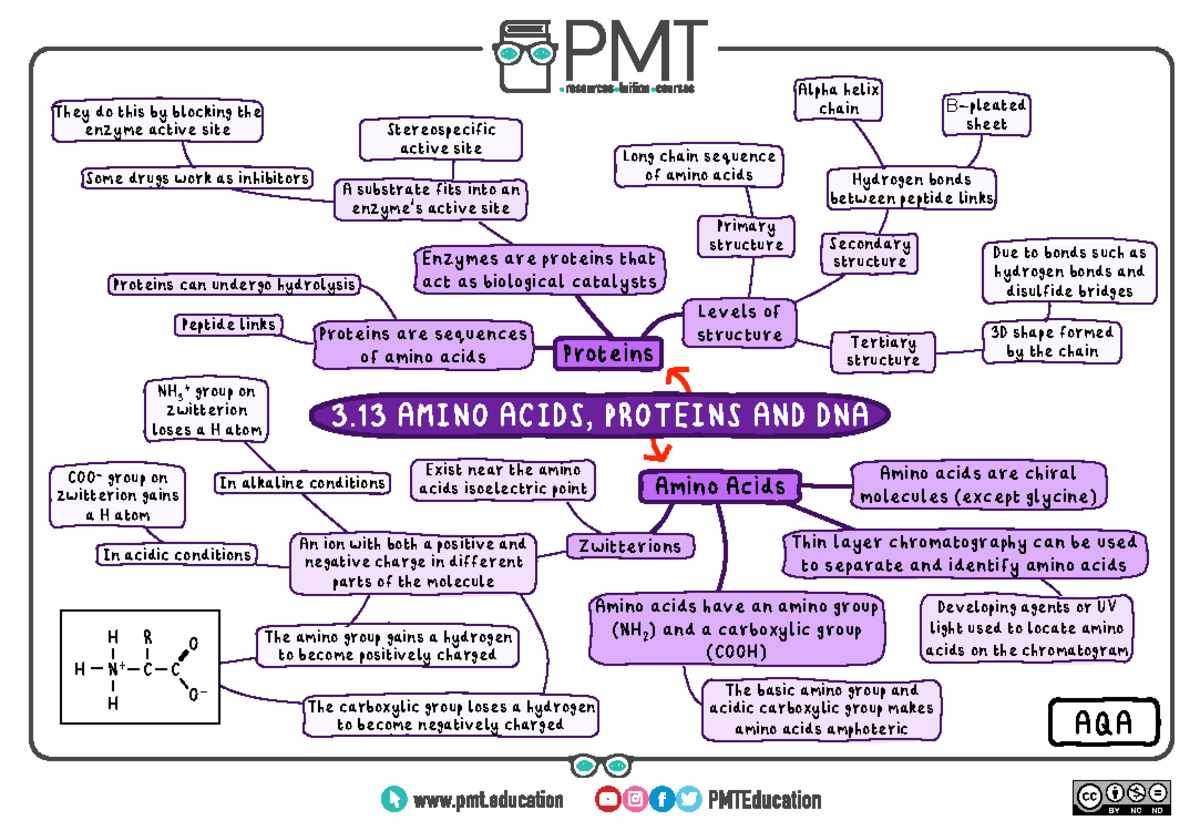 Mind Map Topic 3 - AQA 3 AMINO ACIDS, PROTEINS AND DNA Amino Acids ...