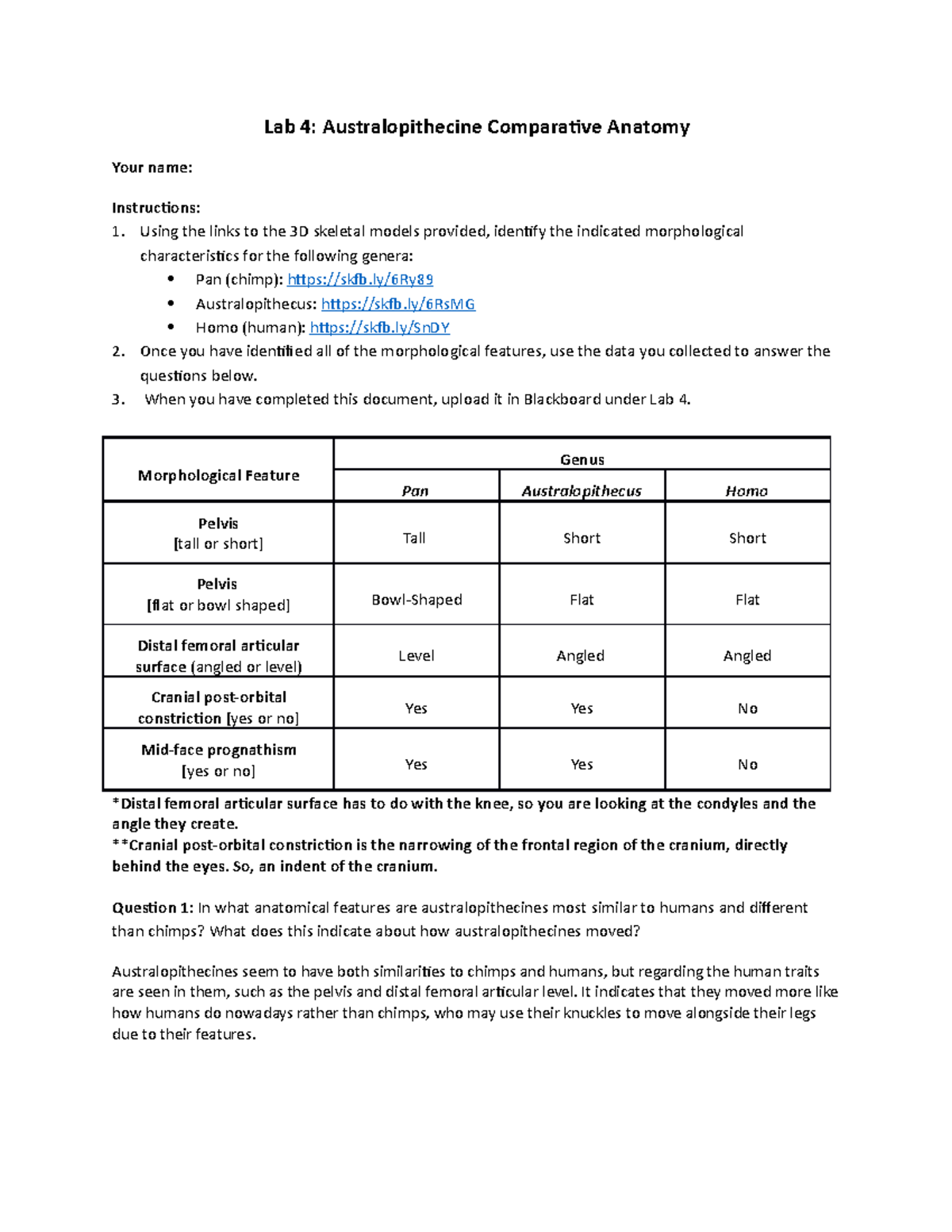 Lab 4 - This is for Lab 4 - Lab 4: Australopithecine Comparative ...