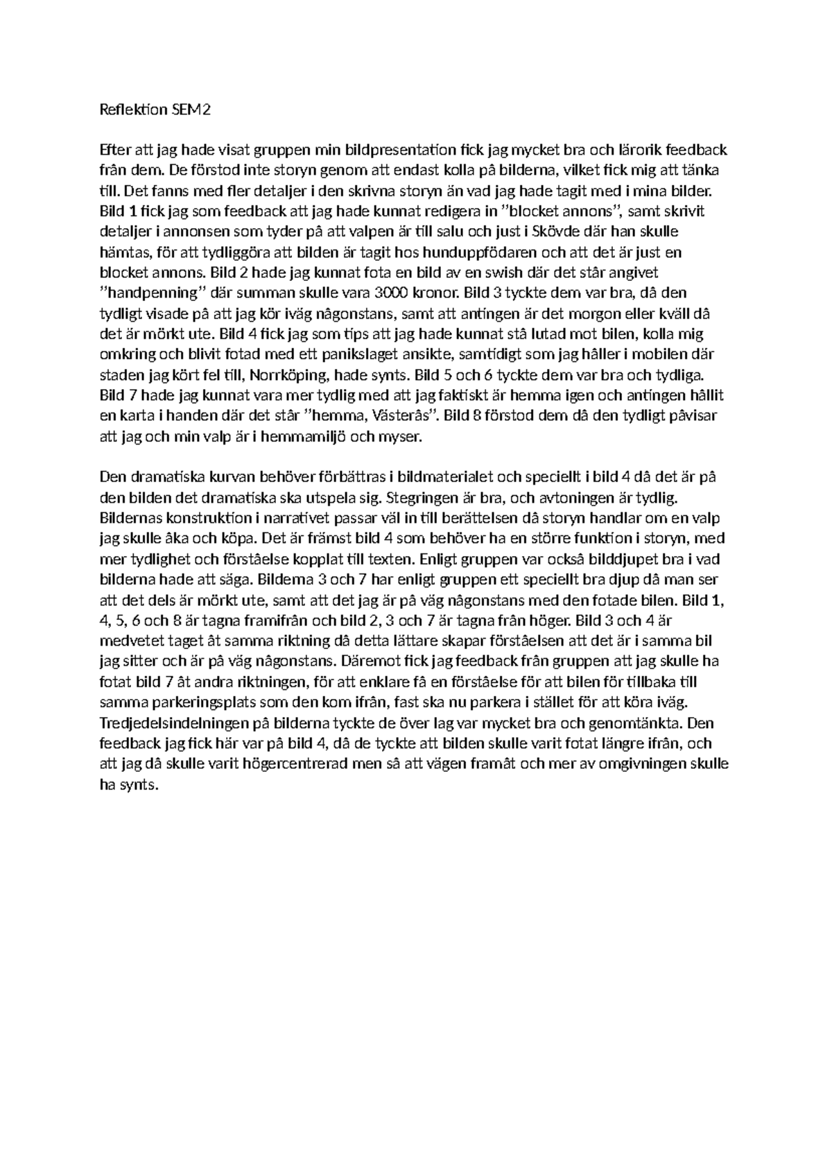 Reflektion SEM2 - Reflektion SEM Efter att jag hade visat gruppen min ...
