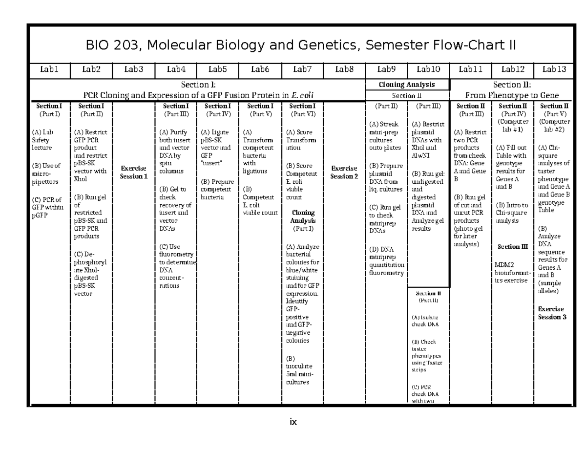B- Semester Flow 2024 - m/a - BIO 203, Molecular Biology and Genetics ...