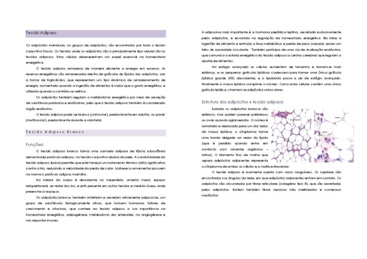 Tecido adiposo - Warning: TT: undefined function: 32 Tecido Adiposo Os adipócitos individuais ...
