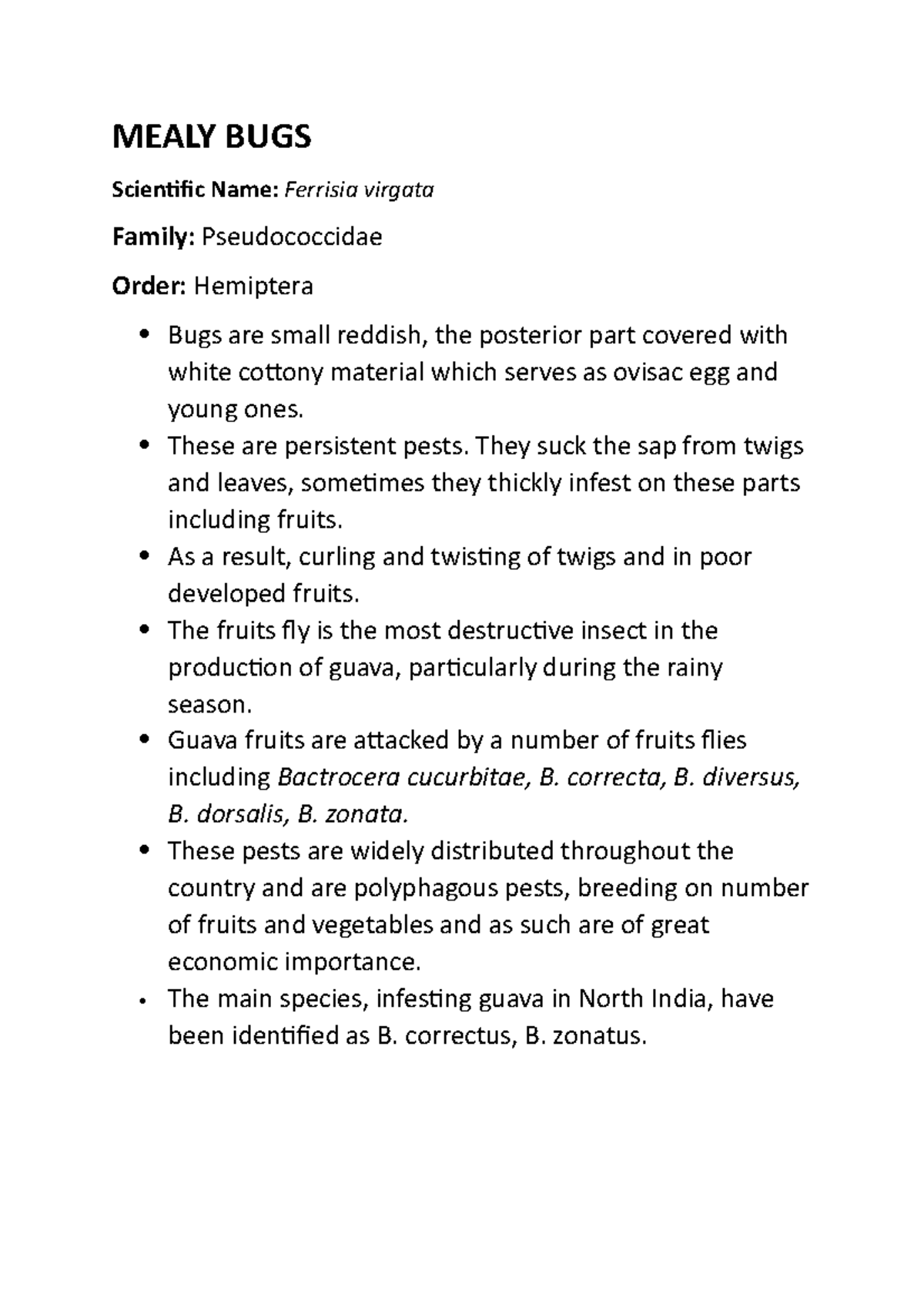 Insect Pest of Guava : Mealy Bug - MEALY BUGS Scientific Name: Ferrisia ...