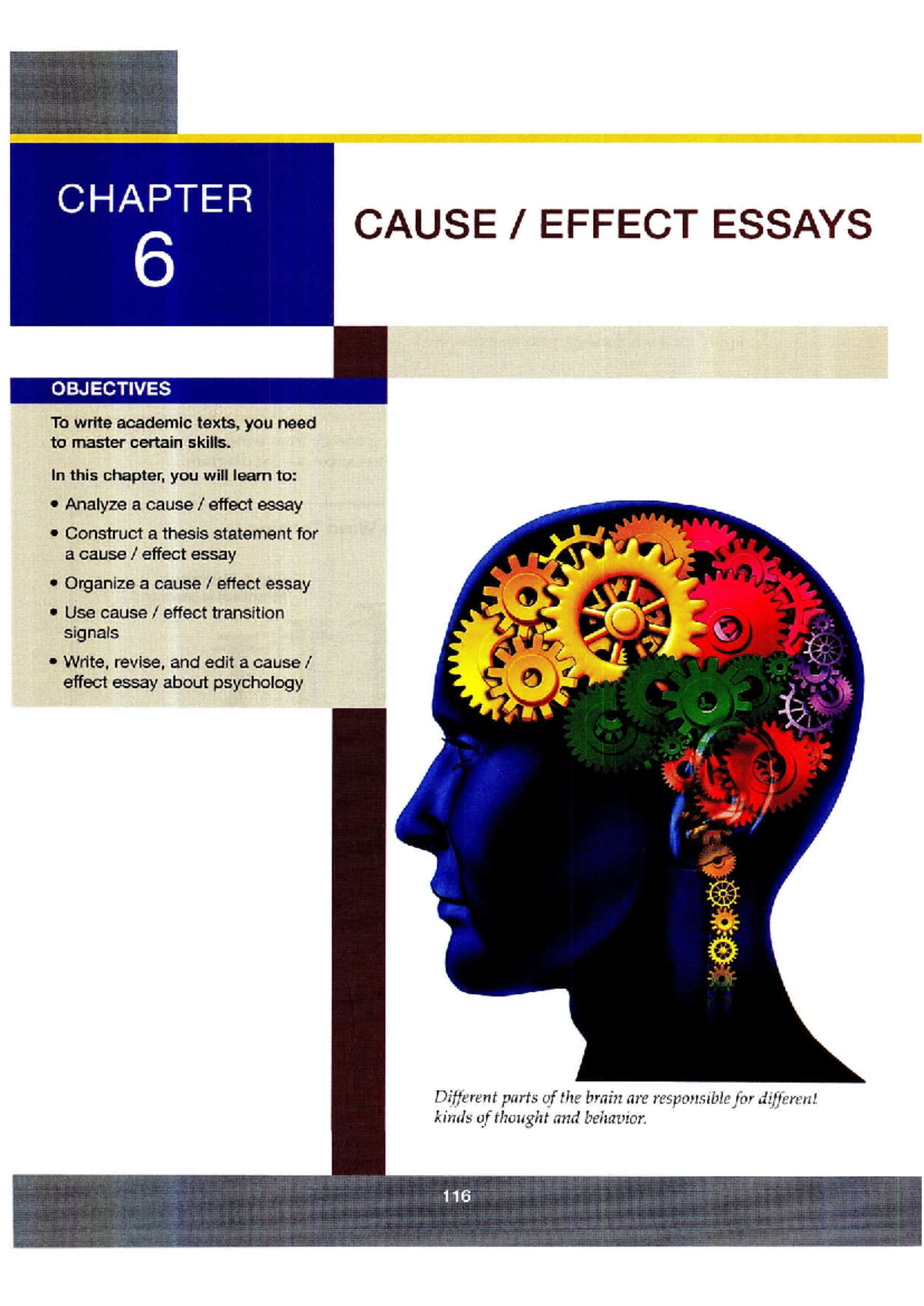 Cause and Effect Essay - WRITING - ielts writing - Studocu