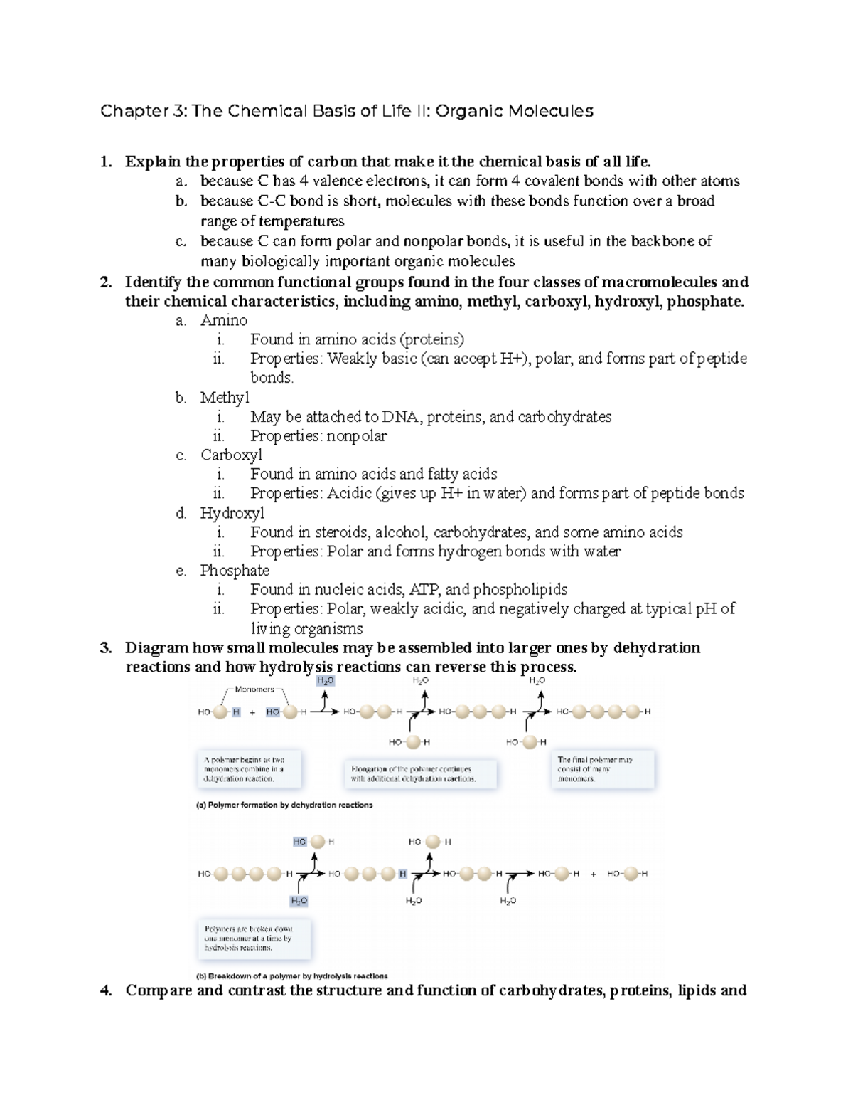 BIO 1200 Chapter 3 Review - Chapter 3: The Chemical Basis of Life II ...