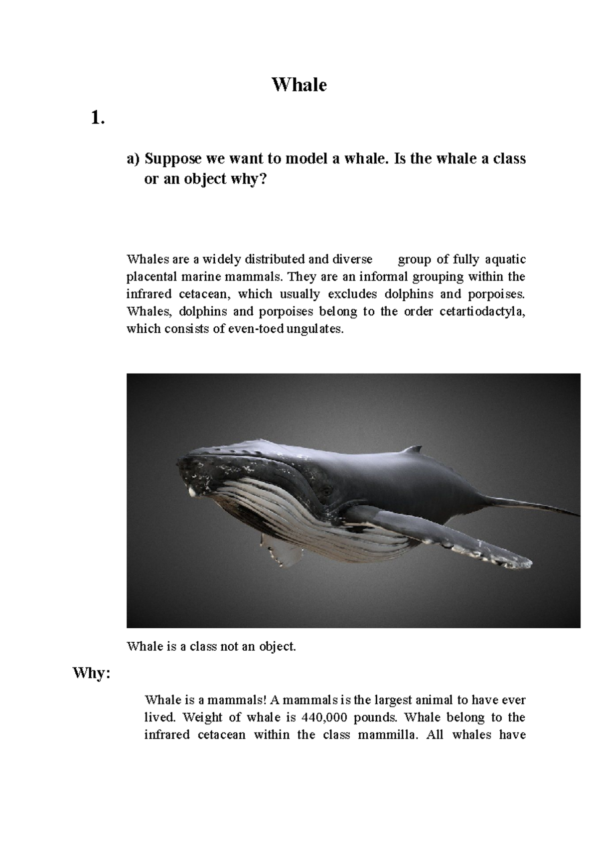 Whale - Lecture notes 1 - Whale 1. a) Suppose we want to model a whale ...