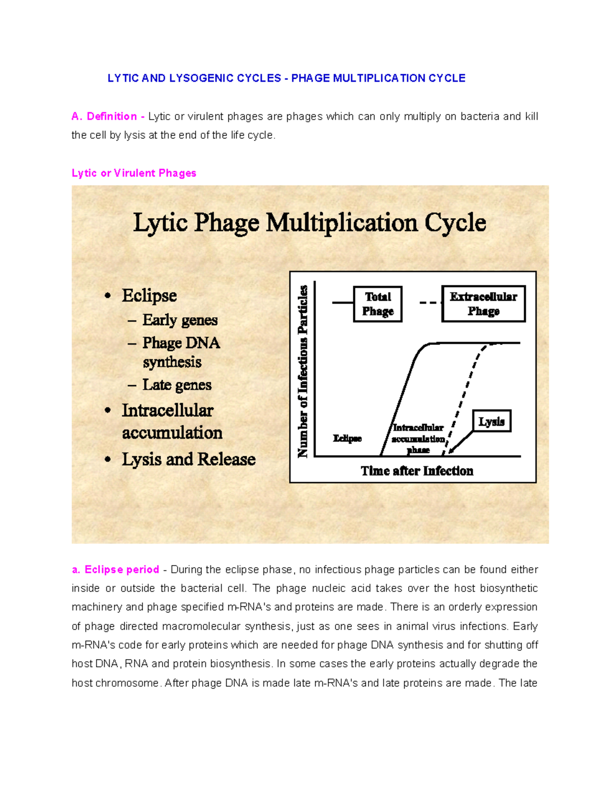Microbiology notes 12 - LYTIC AND LYSOGENIC CYCLES - PHAGE ...