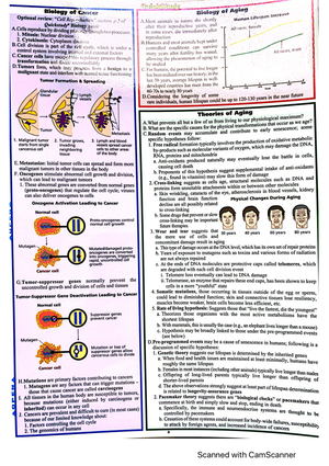 Introduction TO Basic Human Anatomy - INTRODUCTION TO BASIC HUMAN ...