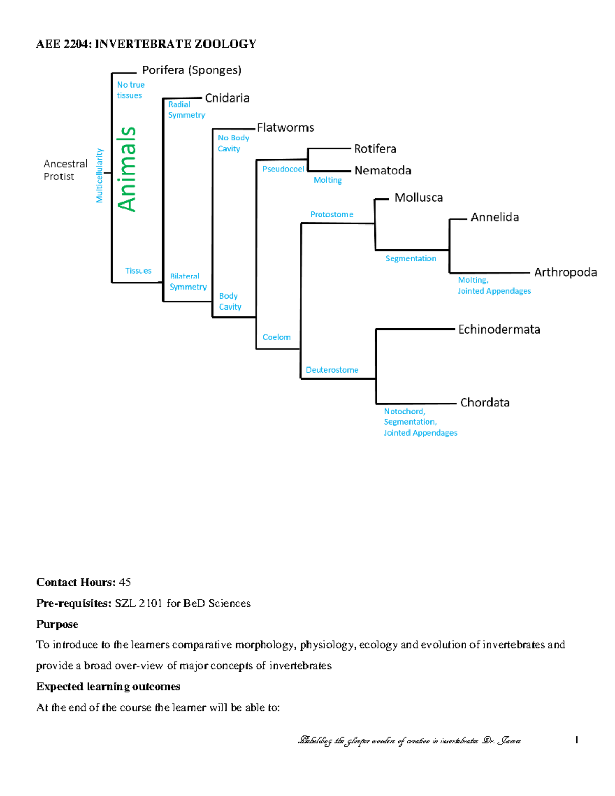 Invertebrate zoo final notes - AEE 2204: INVERTEBRATE ZOOLOGY Contact ...