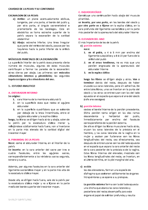 Región Esternal - resumen de esa region - Anatomía Topográfica - REGIÓN ...