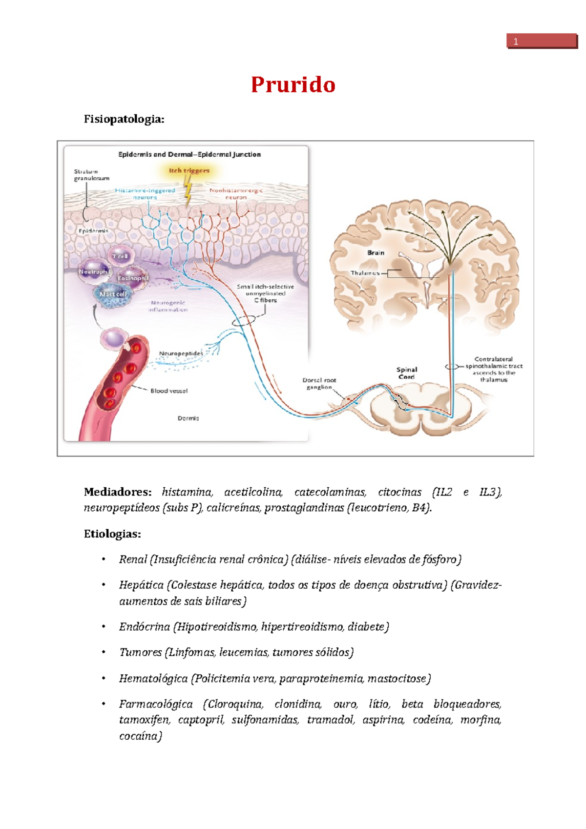 Prurido - Prurido Fisiopatologia: Mediadores: histamina, acetilcolina ...