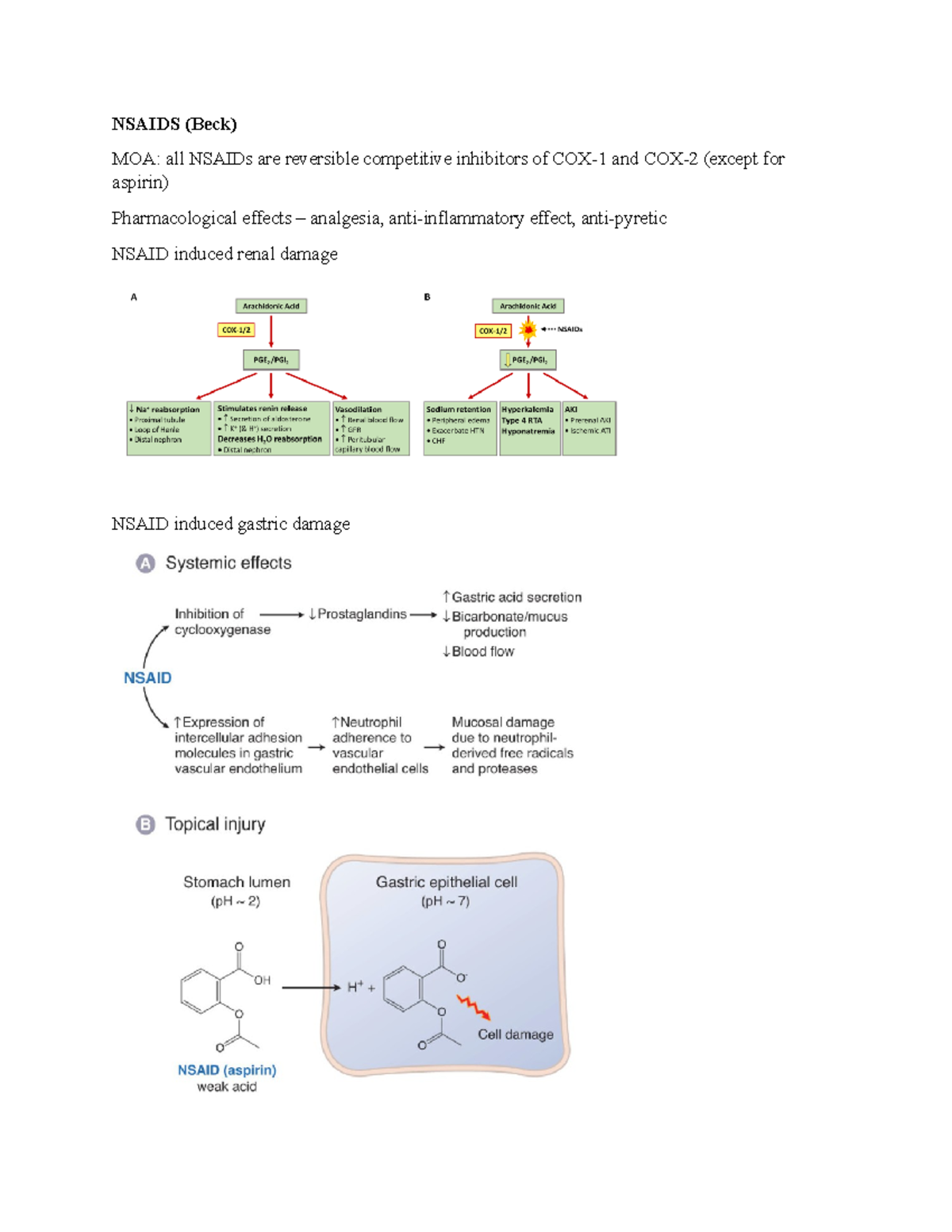 PDA Exam 4 Nsaids Notes - Practice Worksheets and Study Material ...