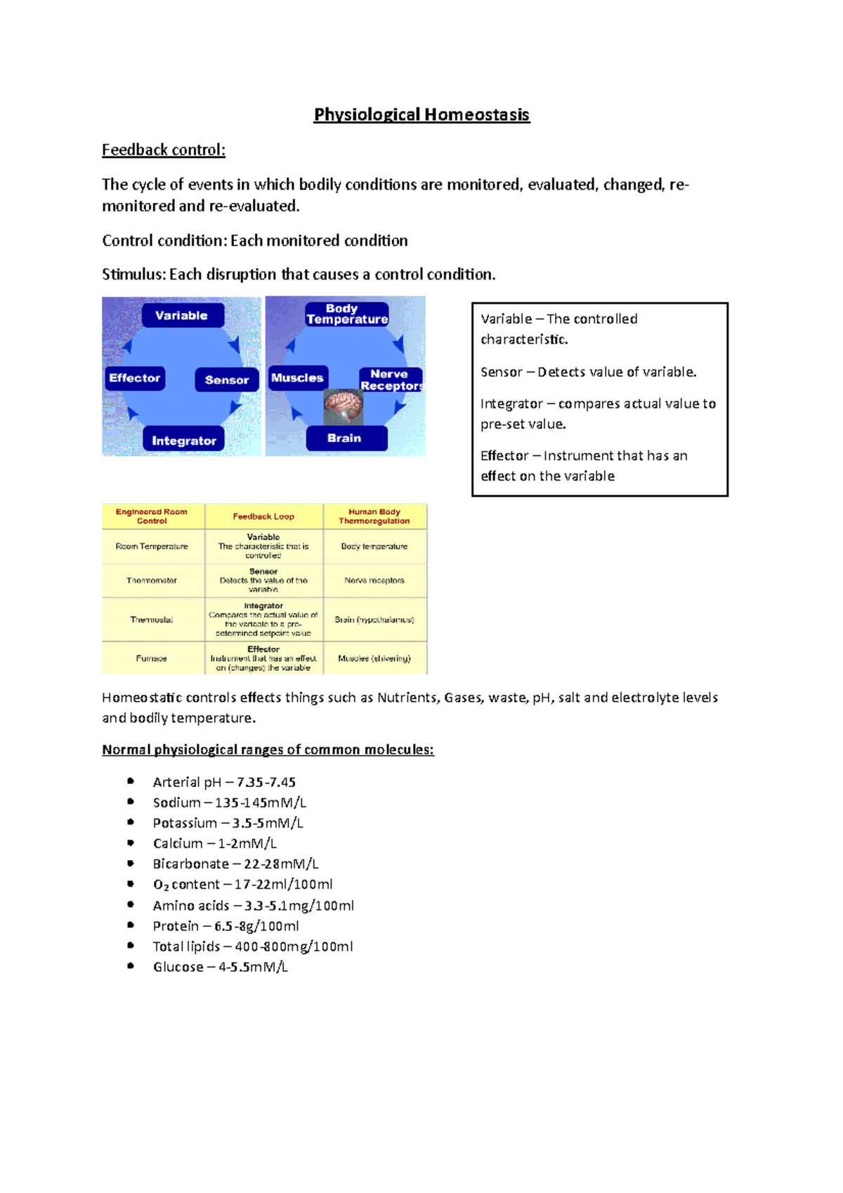 Physiological Homeostasis - Physiological Homeostasis Feedback control ...