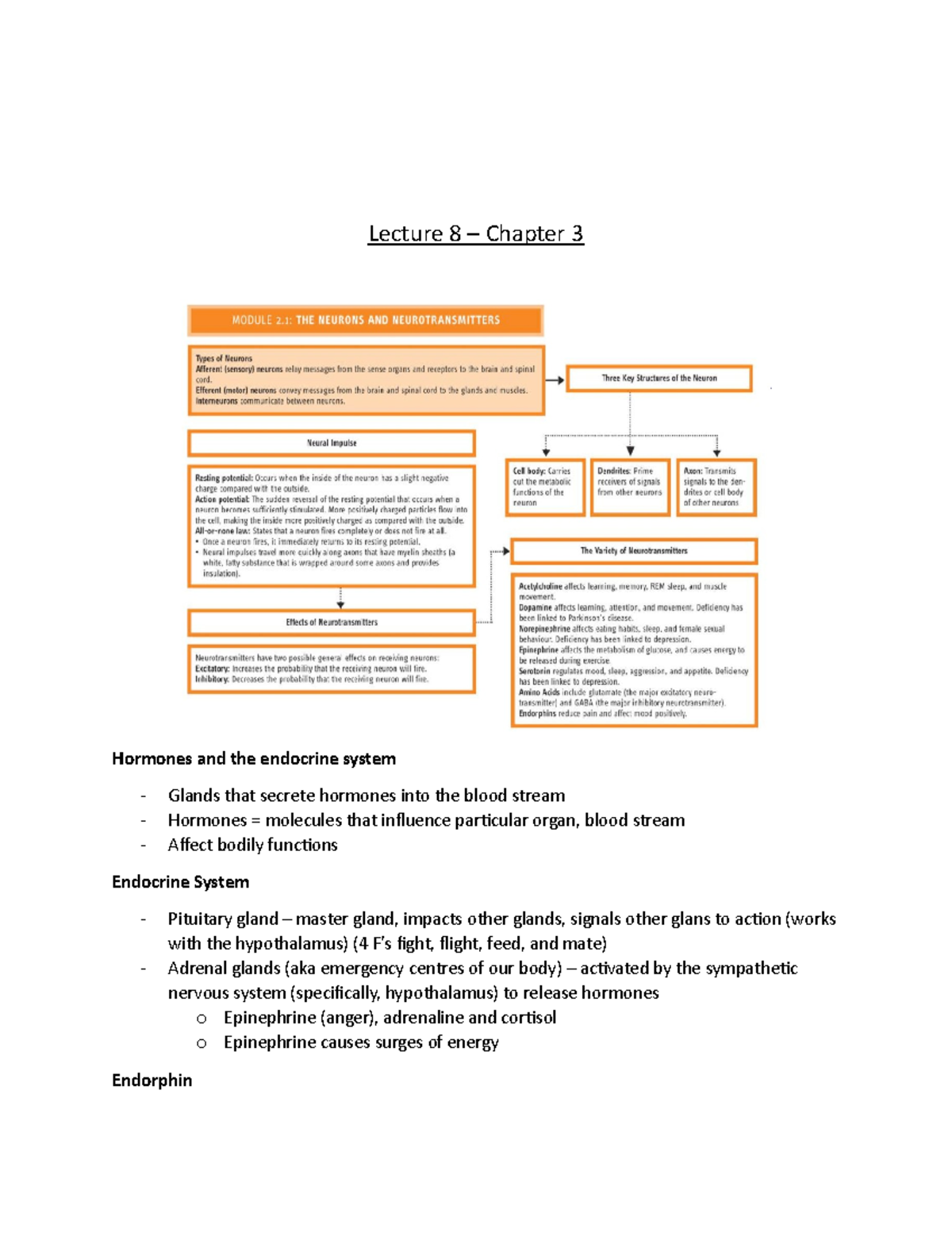 Lecture 8 - Chapter 3 - In class notes - Lecture 8 – Chapter 3 Hormones ...
