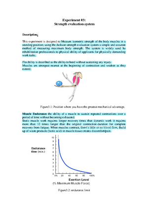 Exp 2 - ex2 - Experiment #2: Measuring body strength Introduction ...