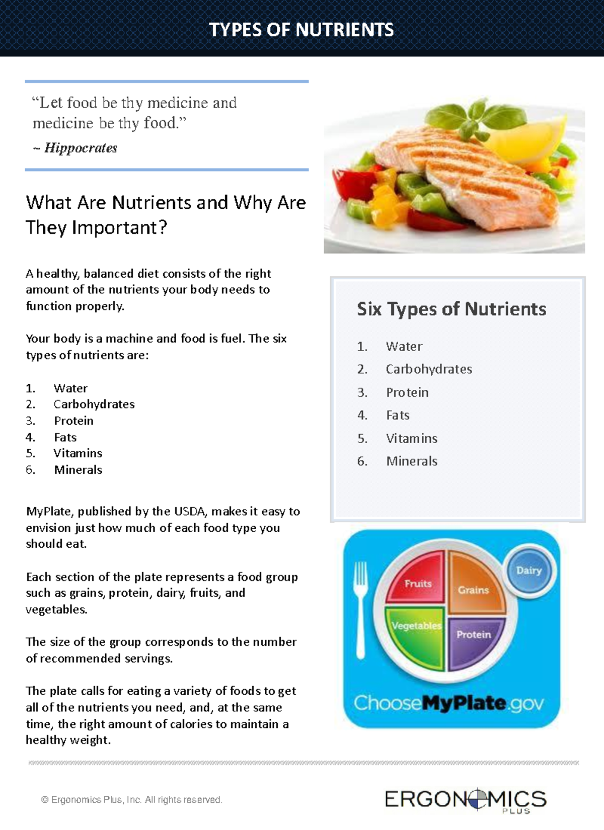 Types of Nutrients Assignment About Nutrition TYPES OF NUTRIENTS