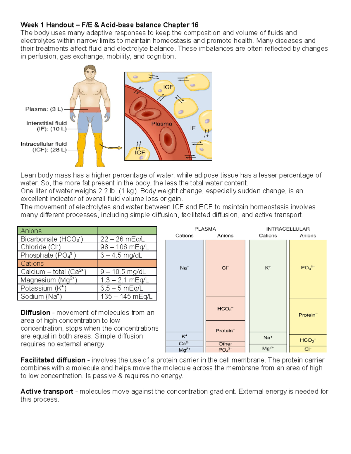 Week 1 Handout - week 1 - Week 1 Handout – F/E & Acid-base balance ...