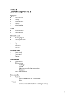 TEMA 26-1 - Clasificaciones - TEMA 26- Clase Secernentea o Phasmidia ...