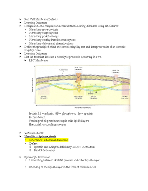 FAB Classification OF THE Acute Myeloid Leukemias - FAB CLASSIFICATION ...