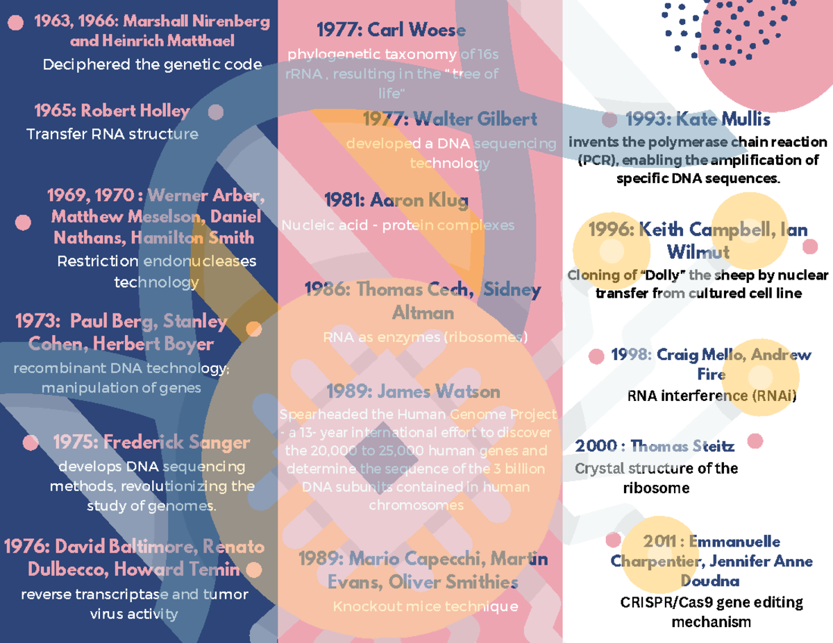 Mol Bio-Timeline - molecular biology history - 1969, 1970 : Werner ...