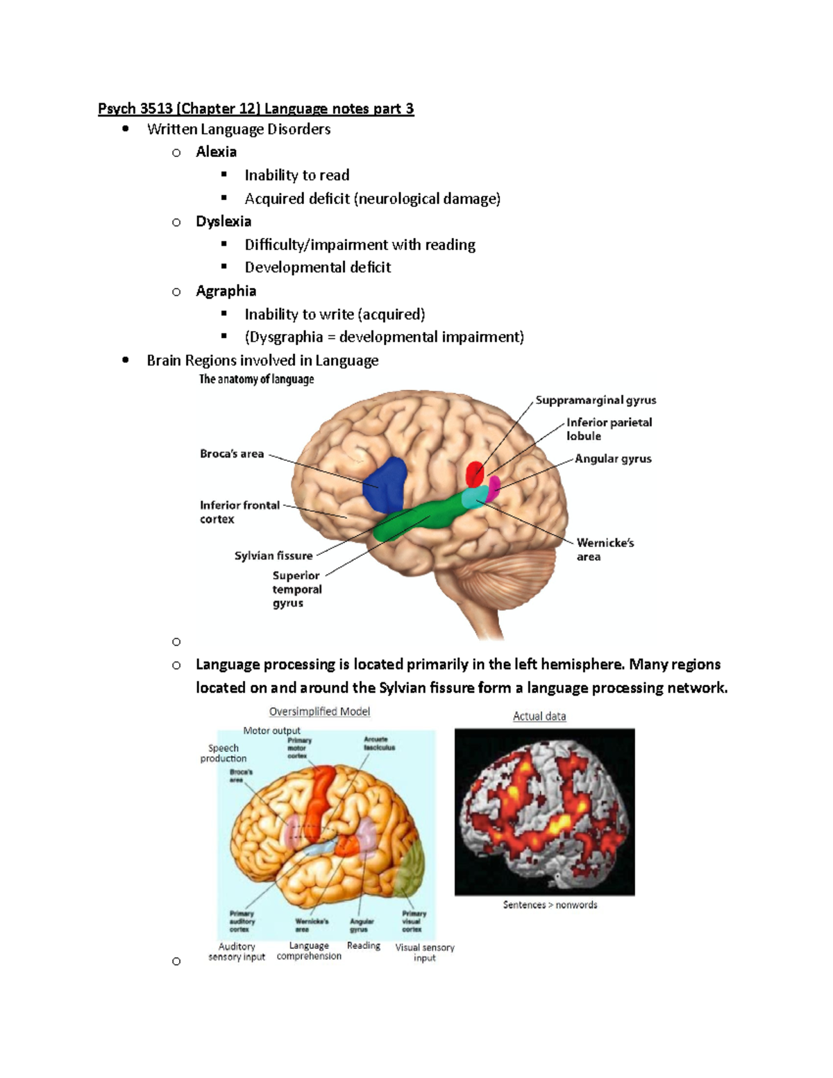 Psych 3513 (Chapter 12) Language notes part 3 - Psych 3513 (Chapter 12 ...