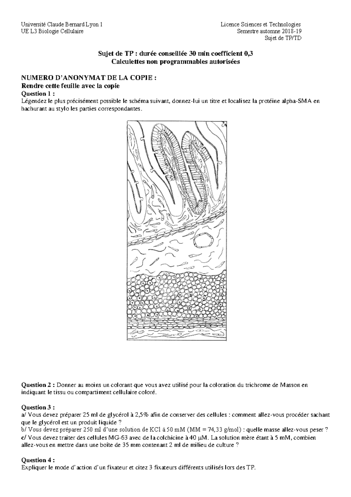 Sujet TP TD biocell 2018 2019 - Université Claude Bernard Lyon 1 ...