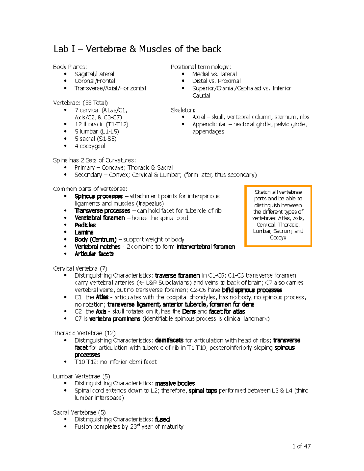 Anatomy Midterm Study Guide - Sketch all vertebrae parts and be able to ...