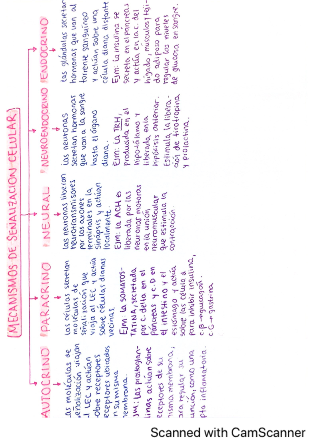 Generalidades del sistema endocrino - MECANISMOS DE SENALIZACION ...