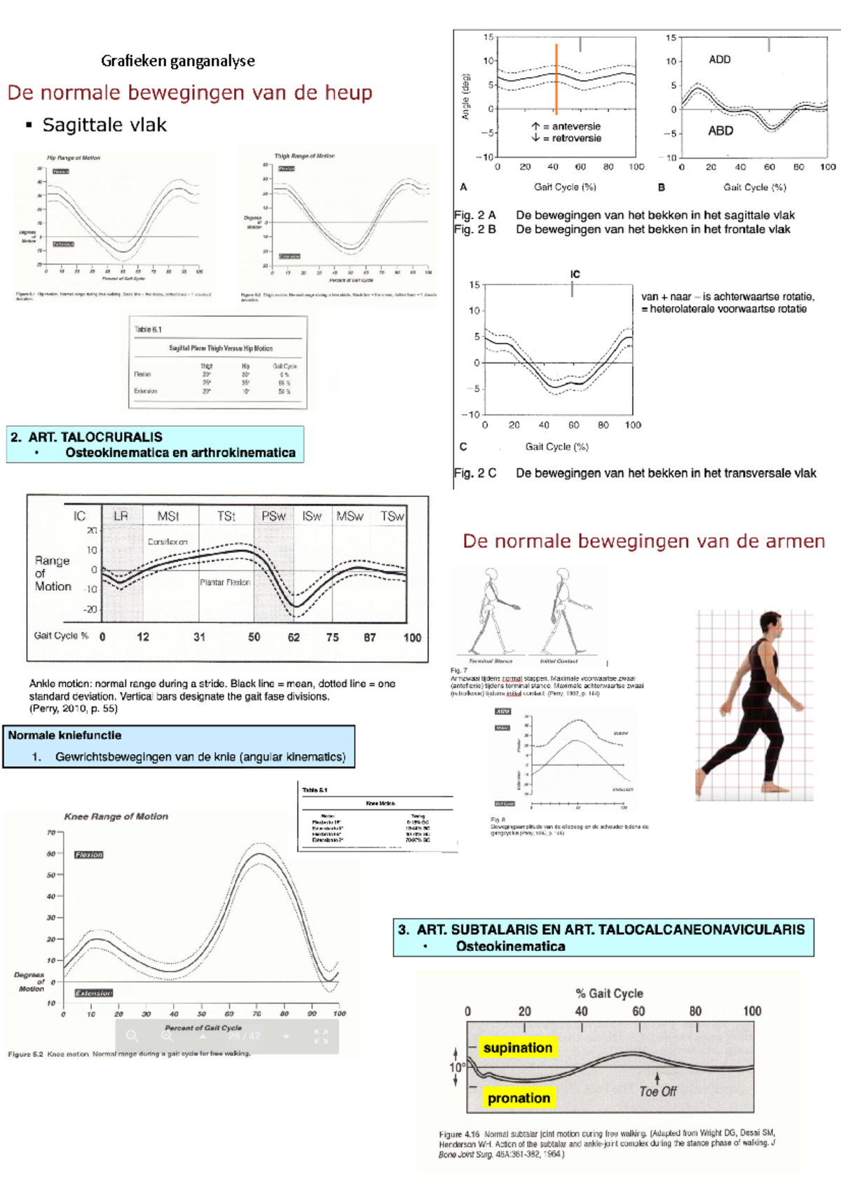 Grafieken ganganalyse biomechanica - Rug en onderste lidmaat ...